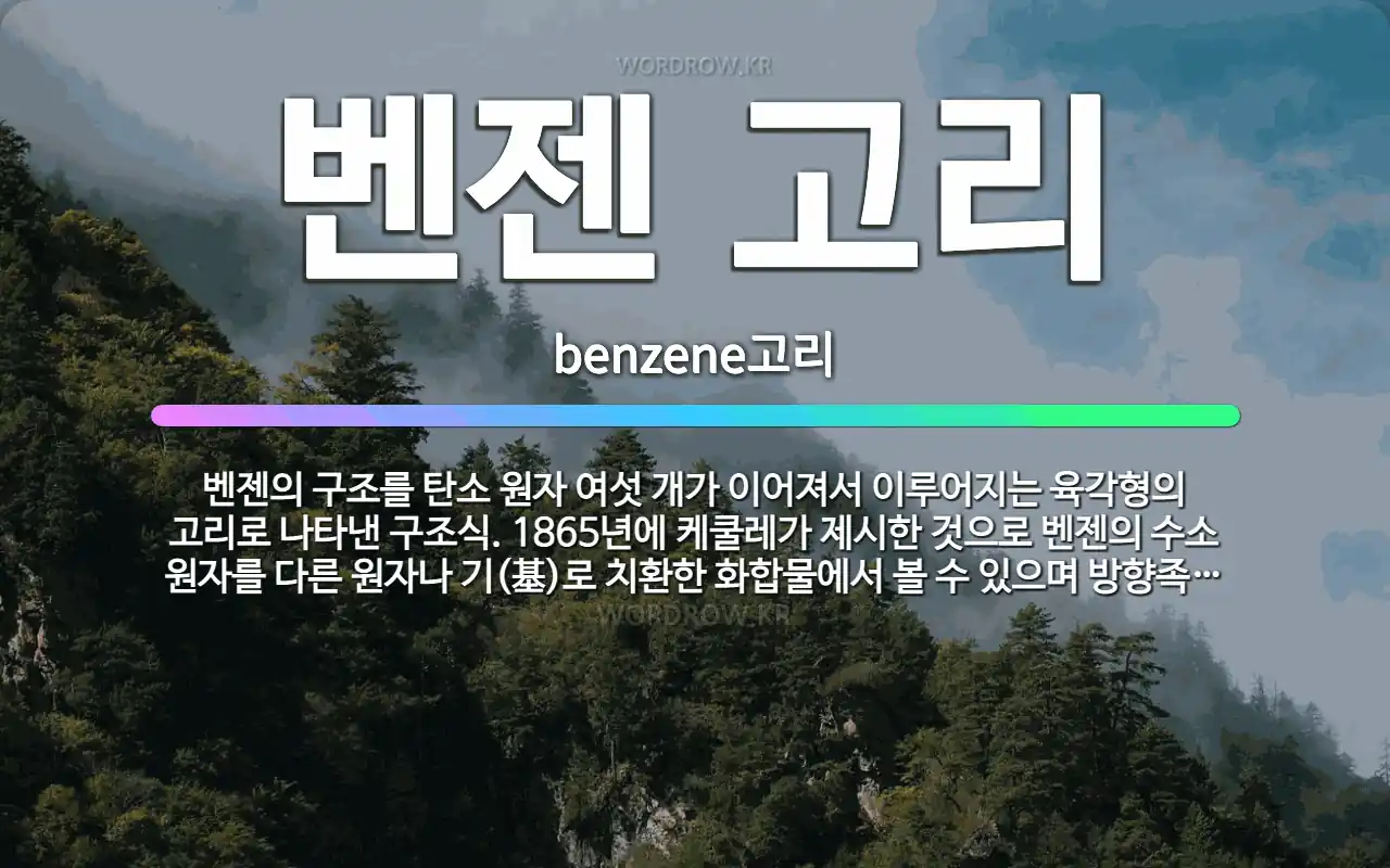 🌟벤젠 고리 벤젠의 구조를 탄소 원자 여섯 개가 이어져서 이루어지는 육각형의 고리로 나타낸 구조식 18 표준국어대사전