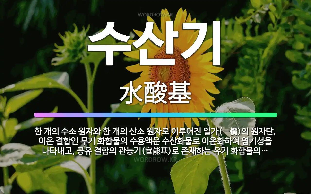 🌟수산기 한 개의 수소 원자와 한 개의 산소 원자로 이루어진 일가一價의 원자단 이온 결합인 무기 화 표준국어대사전