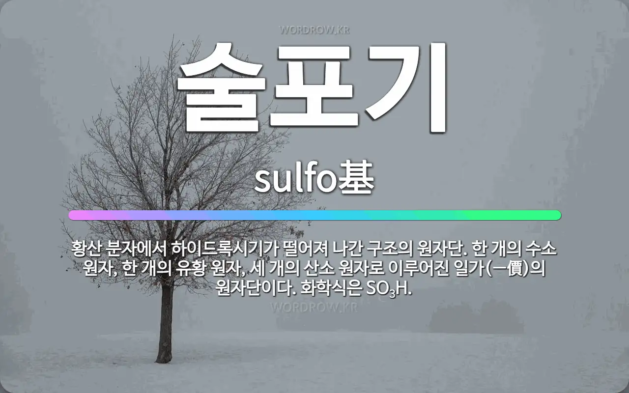 🌟술포기 황산 분자에서 하이드록시기가 떨어져 나간 구조의 원자단 한 개의 수소 원자 한 개의 유황 원 표준국어대사전