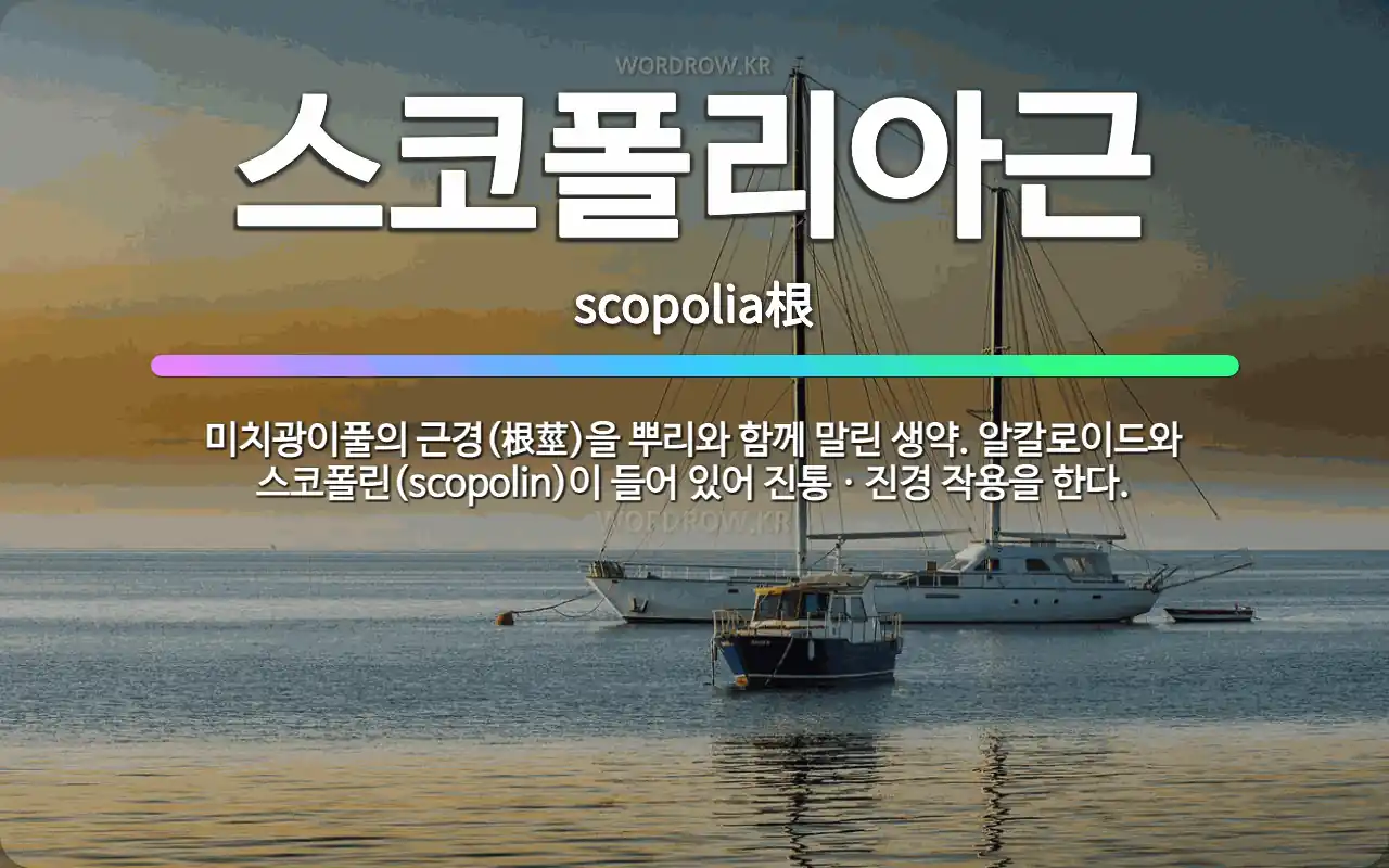 🌟스코폴리아근: 미치광이풀의 근경(根莖)을 뿌리와 함께 말린 생약. 알칼로이드와 스코폴린(scopolin)... - 표준국어대사전