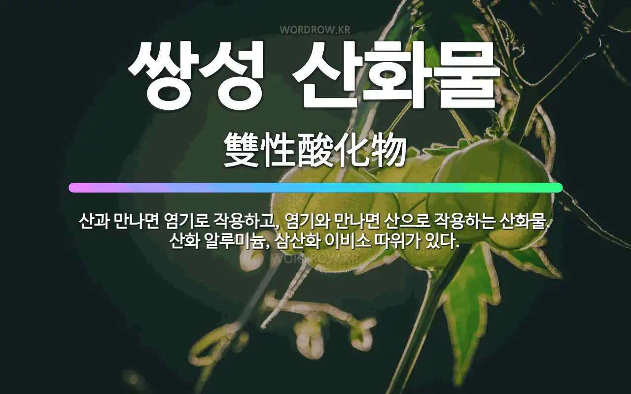 🌟쌍성 산화물 산과 만나면 염기로 작용하고 염기와 만나면 산으로 작용하는 산화물 산화 알루미늄 삼산 표준국어대사전