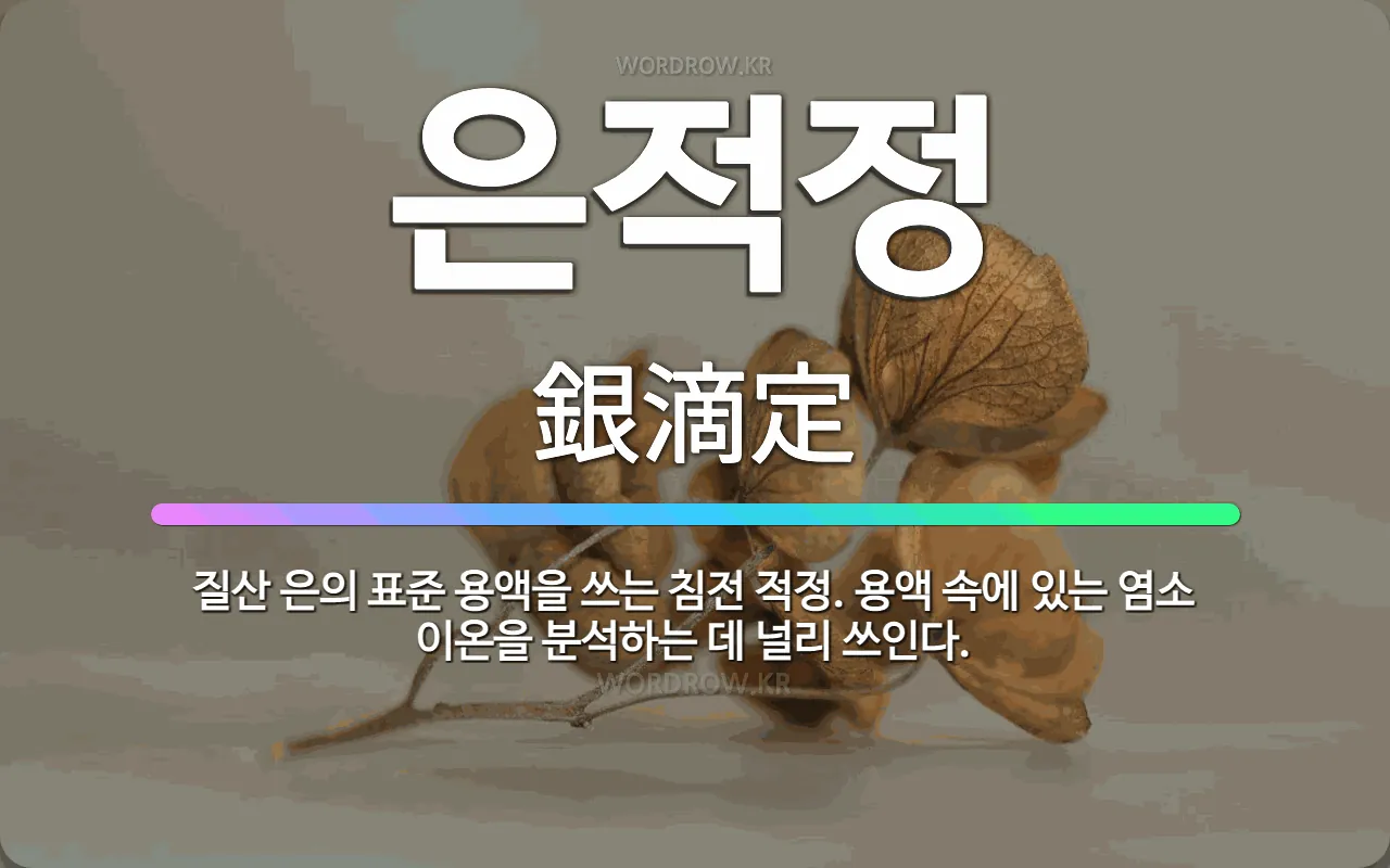 🌟은적정 질산 은의 표준 용액을 쓰는 침전 적정 용액 속에 있는 염소 이온을 분석하는 데 널리 쓰인다 표준국어대사전