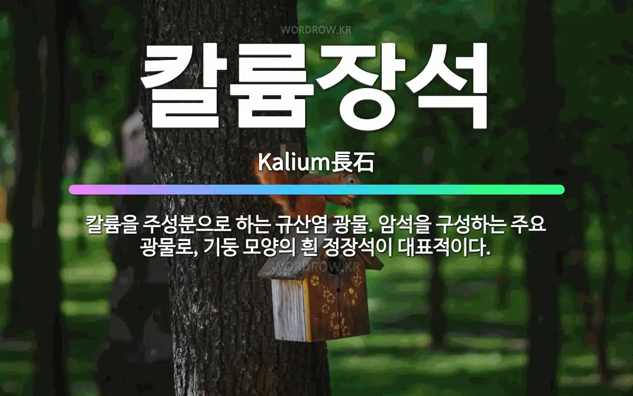 🌟칼륨장석 칼륨을 주성분으로 하는 규산염 광물 암석을 구성하는 주요 광물로 기둥 모양의 흰 정장석이 표준국어대사전