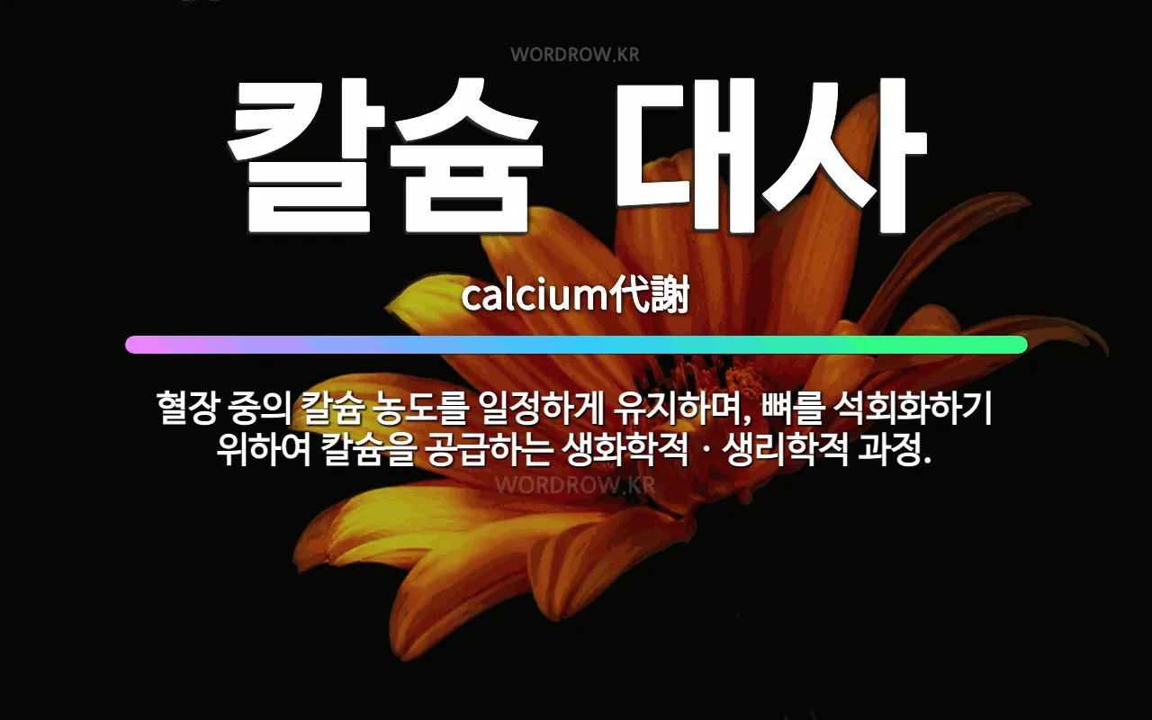 ๐์นผ์ ๋์ฌ ํ์ฅ ์ค์ ์นผ์ ๋๋๋ฅผ ์ผ์ ํ๊ฒ ์ ์งํ๋ฉฐ ๋ผ๋ฅผ ์ํํํ๊ธฐ ์ํ์ฌ ์นผ์์ ๊ณต๊ธํ๋ ์ํํ์ ใ ํ์ค๊ตญ์ด๋์ฌ์ 