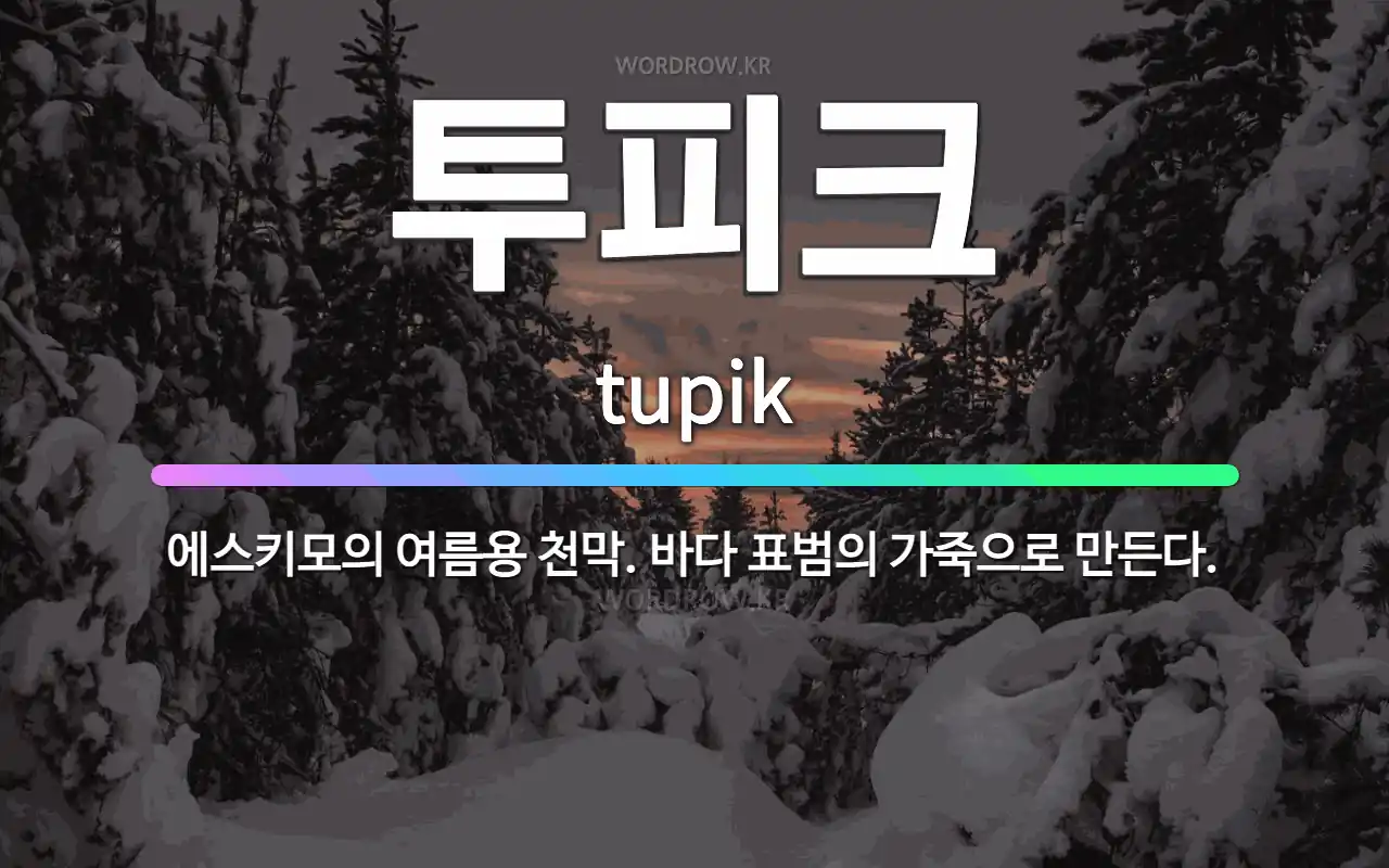 🌟투피크: 에스키모의 여름용 천막. 바다 표범의 가죽으로 만든다. - 표준국어대사전