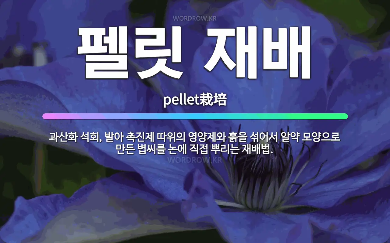 ๐ํ ๋ฆฟ ์ฌ๋ฐฐ ๊ณผ์ฐํ ์ํ ๋ฐ์ ์ด์ง์  ๋ฐ์์ ์์์ ์ ํ์ ์์ด์ ์์ฝ ๋ชจ์์ผ๋ก ๋ง๋  ๋ณ์จ๋ฅผ ๋
ผ์ ์ง์  ํ์ค๊ตญ์ด๋์ฌ์ 