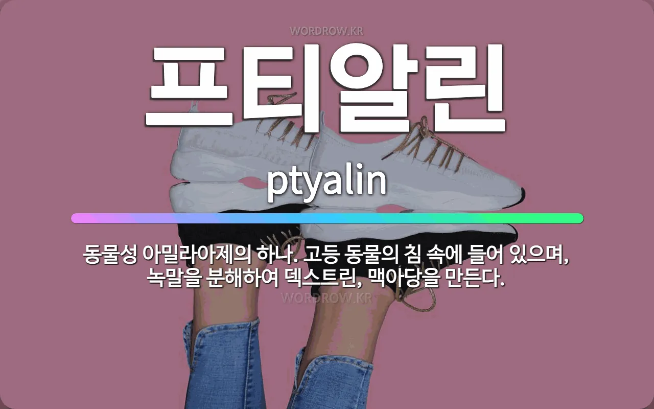 🌟프티알린: 동물성 아밀라아제의 하나. 고등 동물의 침 속에 들어 있으며, 녹말을 분해하여 덱스트린, 맥아... - 표준국어대사전