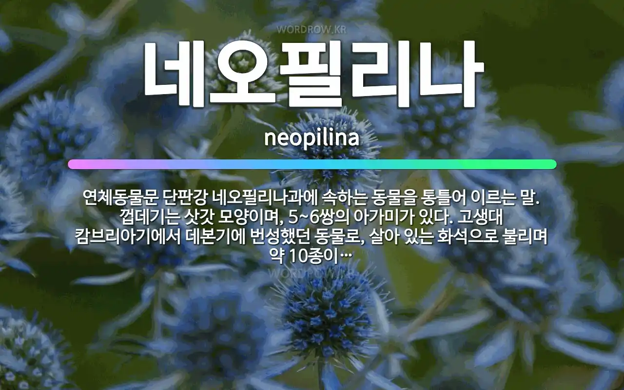 🌟네오필리나: 연체동물문 단판강 네오필리나과에 속하는 동물을 통틀어 이르는 말. 껍데기는 삿갓 모양이며, ... - 표준국어대사전