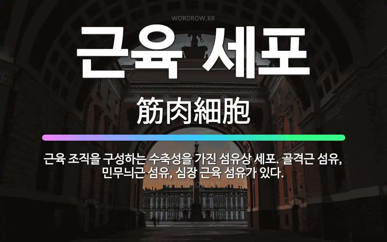 🌟근육 세포 근육 조직을 구성하는 수축성을 가진 섬유상 세포 골격근 섬유 민무늬근 섬유 심장 근육 표준국어대사전
