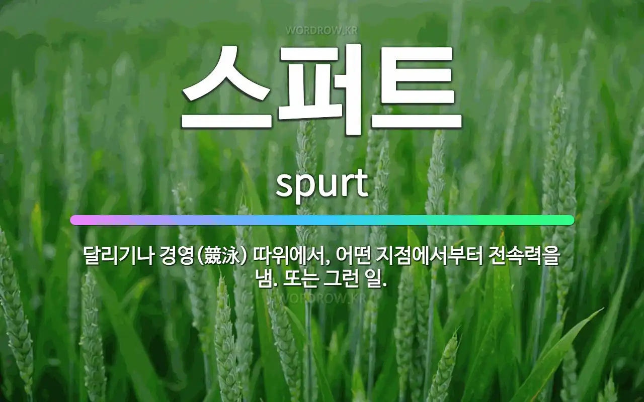 🌟스퍼트: 달리기나 경영(競泳) 따위에서, 어떤 지점에서부터 전속력을 냄. 또는 그런 일. - 표준국어대사전