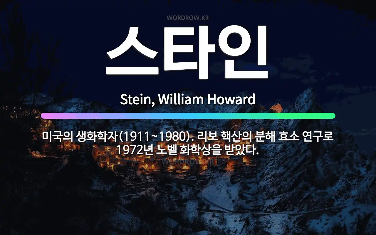 🌟스타인: 미국의 생화학자(1911~1980). 리보 핵산의 분해 효소 연구로 1972년 노벨 화학상을 받았다. - 표준국어대사전