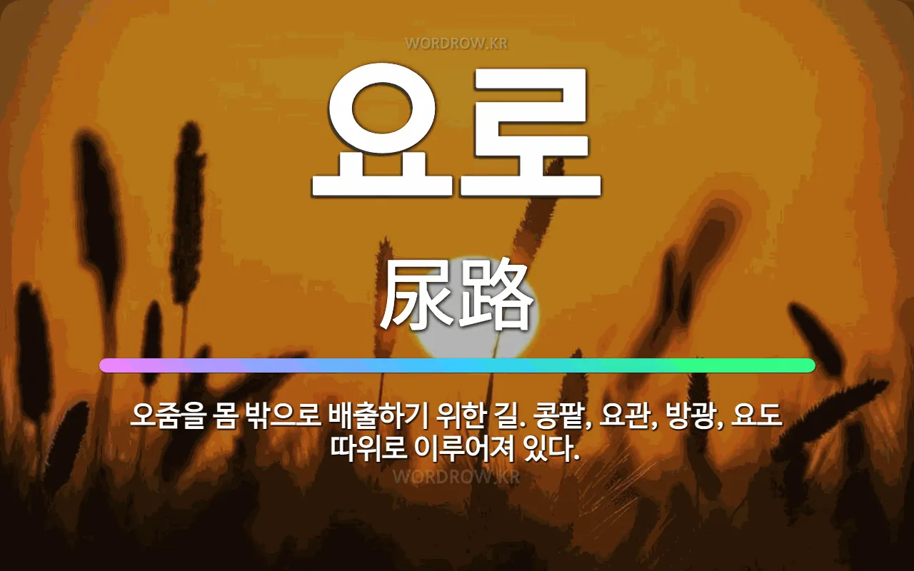 🌟요로 오줌을 몸 밖으로 배출하기 위한 길 콩팥 요관 방광 요도 따위로 이루어져 있다 표준국어대사전