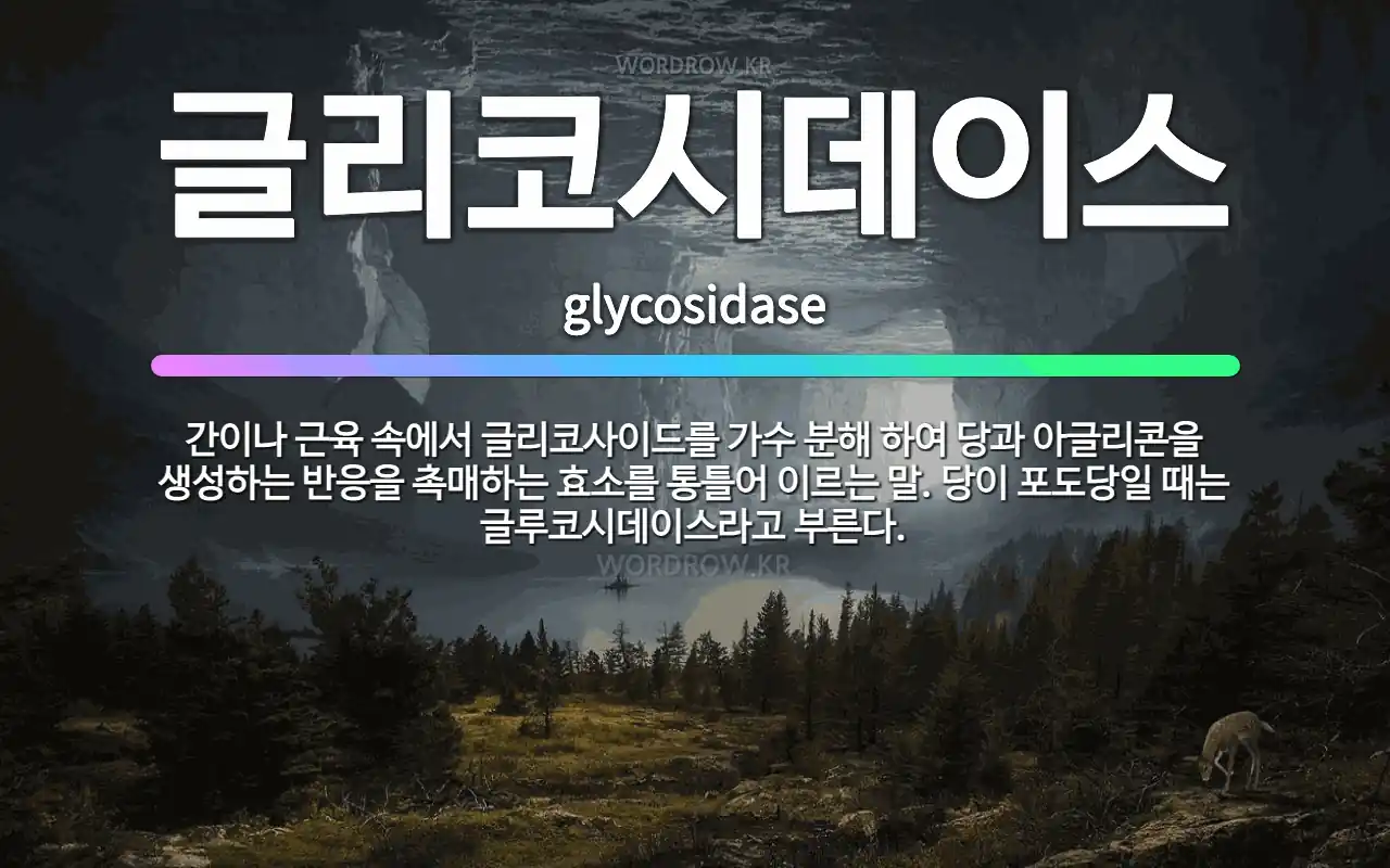 🌟글리코시데이스 간이나 근육 속에서 글리코사이드를 가수 분해 하여 당과 아글리콘을 생성하는 반응을 촉매하 표준국어대사전