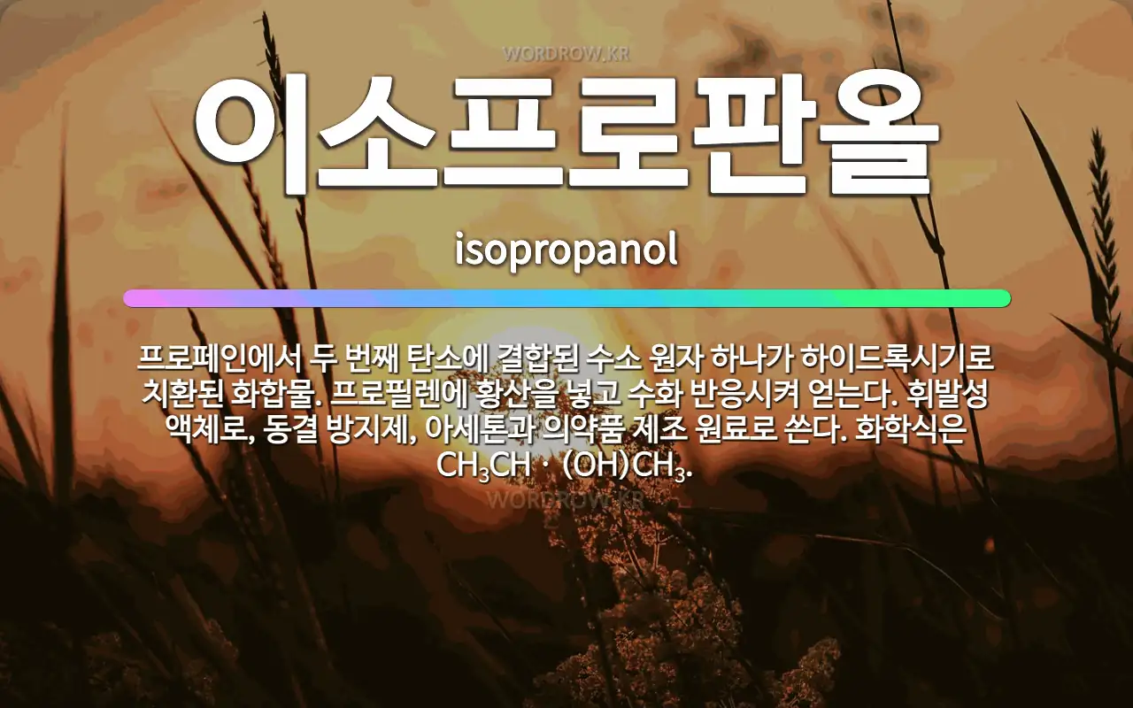 🌟이소프로판올 프로페인에서 두 번째 탄소에 결합된 수소 원자 하나가 하이드록시기로 치환된 화합물 프로필 표준국어대사전