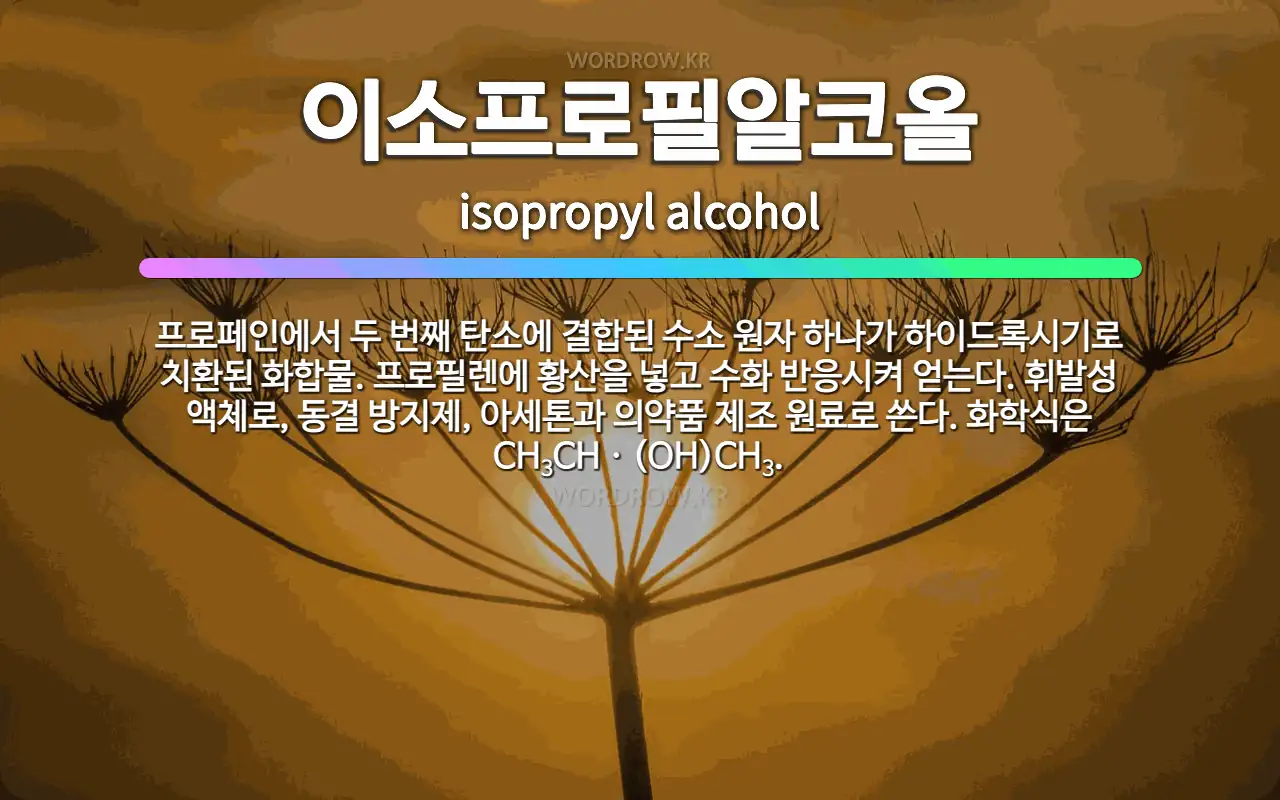 🌟이소프로필알코올 프로페인에서 두 번째 탄소에 결합된 수소 원자 하나가 하이드록시기로 치환된 화합물 프 표준국어대사전