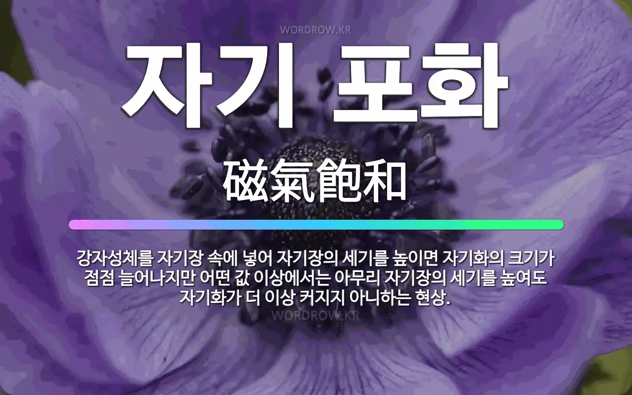 ๐์๊ธฐ ํฌํ ๊ฐ์์ฑ์ฒด๋ฅผ ์๊ธฐ์ฅ ์์ ๋ฃ์ด ์๊ธฐ์ฅ์ ์ธ๊ธฐ๋ฅผ ๋์ด๋ฉด ์๊ธฐํ์ ํฌ๊ธฐ๊ฐ ์ ์  ๋์ด๋์ง๋ง ์ด๋ค ๊ฐ ํ์ค๊ตญ์ด๋์ฌ์ 