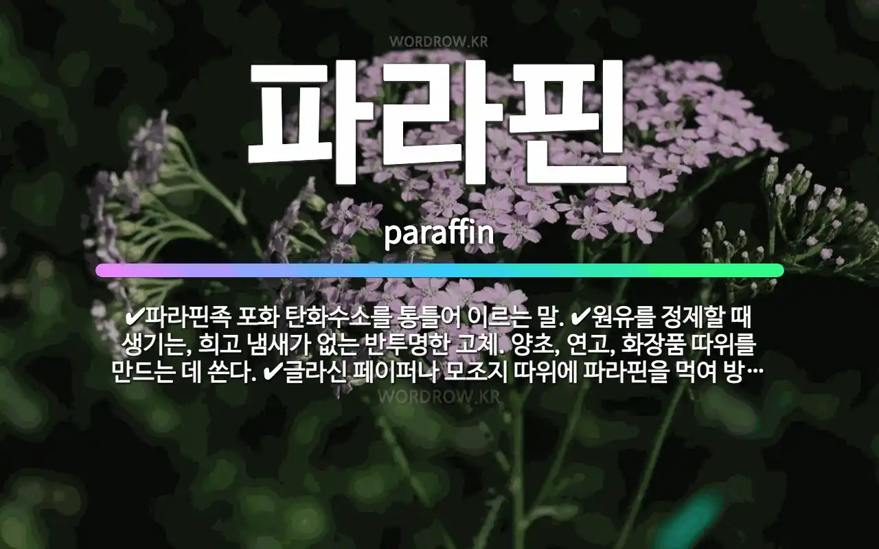 ๐ํ๋ผํ ์์ ๋ฅผ ์ ์ ํ  ๋ ์๊ธฐ๋ ํฌ๊ณ  ๋์๊ฐ ์๋ ๋ฐํฌ๋ช
ํ ๊ณ ์ฒด ์์ด ์ฐ๊ณ  ํ์ฅํ ๋ฐ์๋ฅผ ๋ง๋๋ ํ์ค๊ตญ์ด๋์ฌ์ 