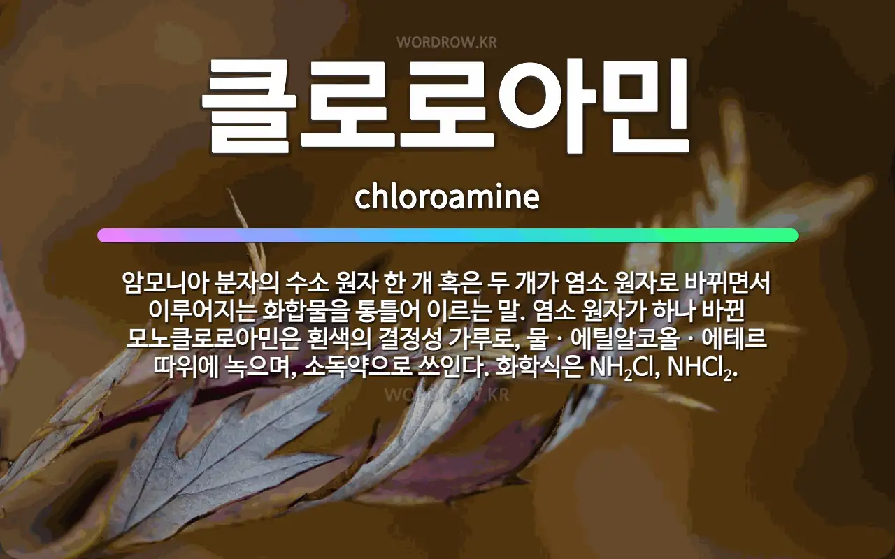 🌟클로로아민 암모니아 분자의 수소 원자 한 개 혹은 두 개가 염소 원자로 바뀌면서 이루어지는 화합물을 통 표준국어대사전