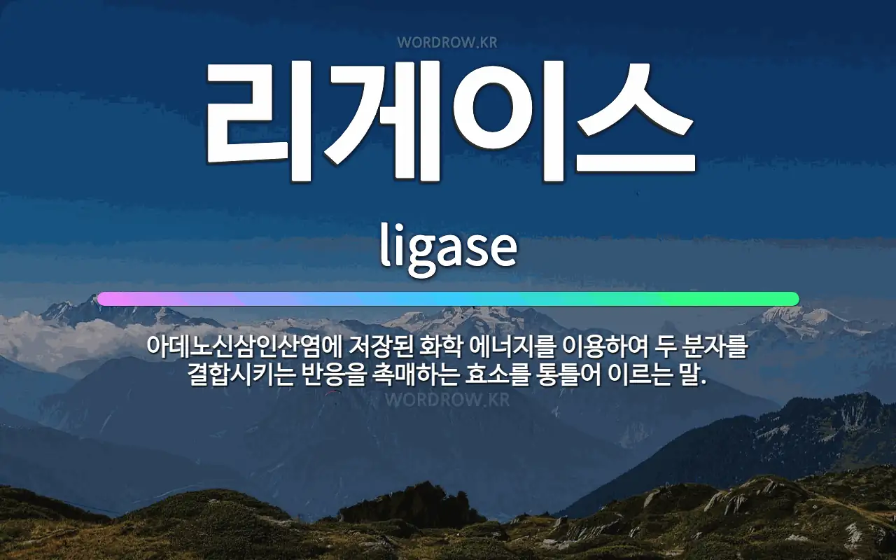 🌟리게이스 아데노신삼인산염에 저장된 화학 에너지를 이용하여 두 분자를 결합시키는 반응을 촉매하는 효소를 표준국어대사전