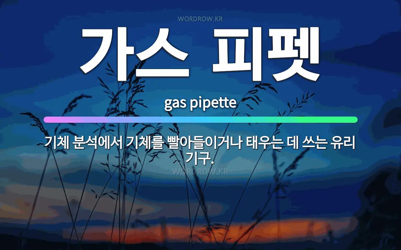 🌟가스 피펫: 기체 분석에서 기체를 빨아들이거나 태우는 데 쓰는 유리 기구. - 표준국어대사전