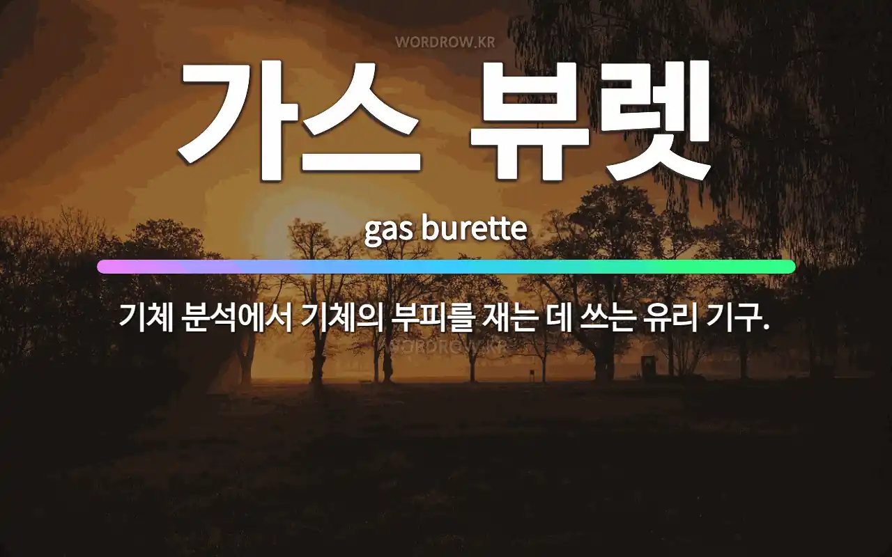 🌟가스 뷰렛: 기체 분석에서 기체의 부피를 재는 데 쓰는 유리 기구. - 표준국어대사전