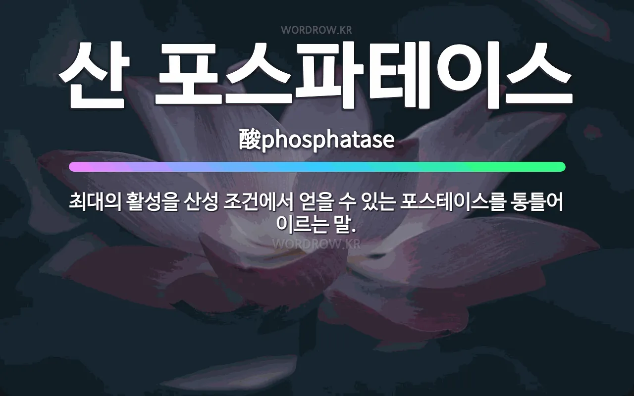 ๐์ฐ ํฌ์คํํ
์ด์ค ์ต๋์ ํ์ฑ์ ์ฐ์ฑ ์กฐ๊ฑด์์ ์ป์ ์ ์๋ ํฌ์คํ
์ด์ค๋ฅผ ํตํ์ด ์ด๋ฅด๋ ๋ง ํ์ค๊ตญ์ด๋์ฌ์ 