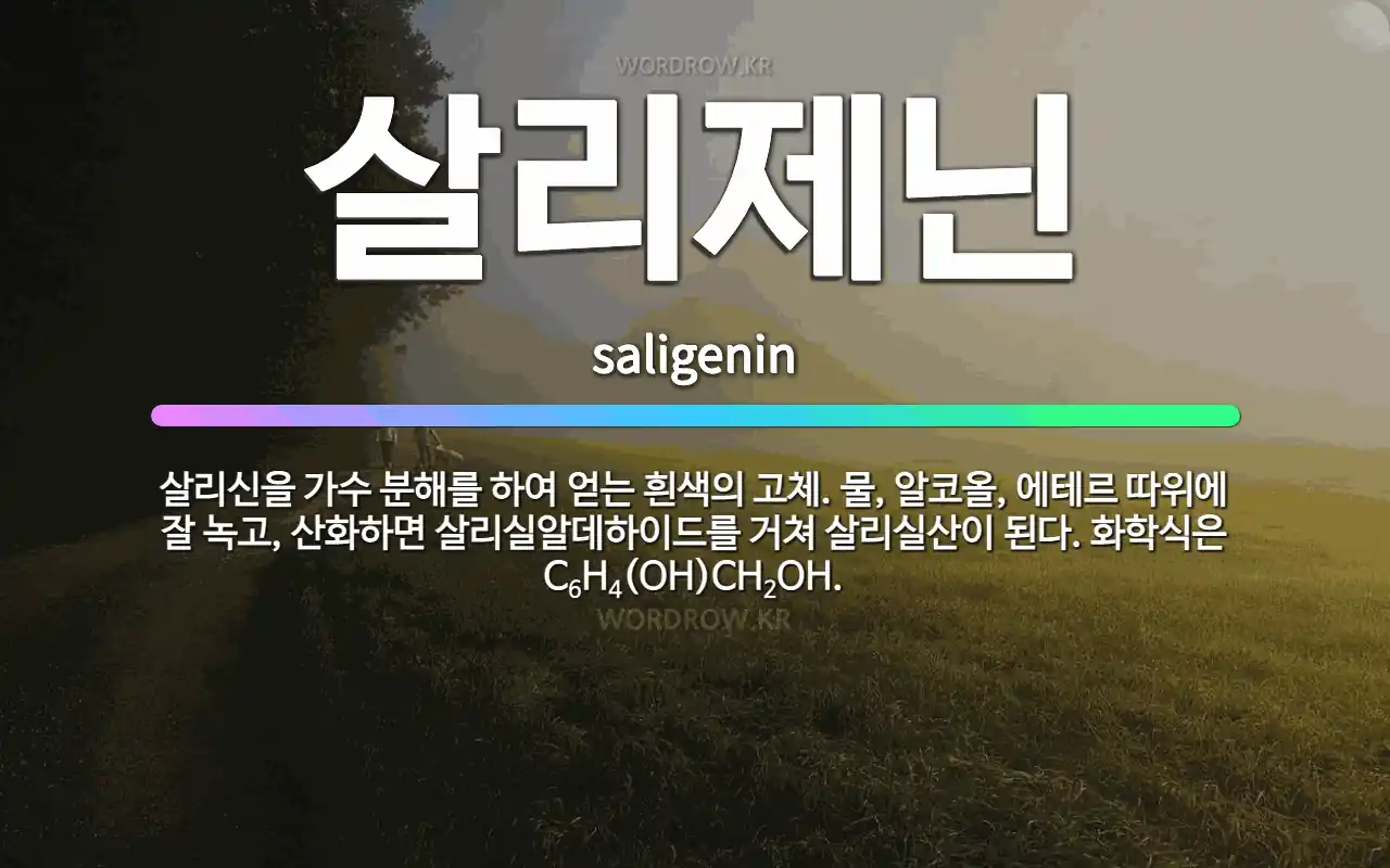 🌟살리제닌: 살리신을 가수 분해를 하여 얻는 흰색의 고체. 물, 알코올, 에테르 따위에 잘 녹고, 산화하면... - 표준국어대사전