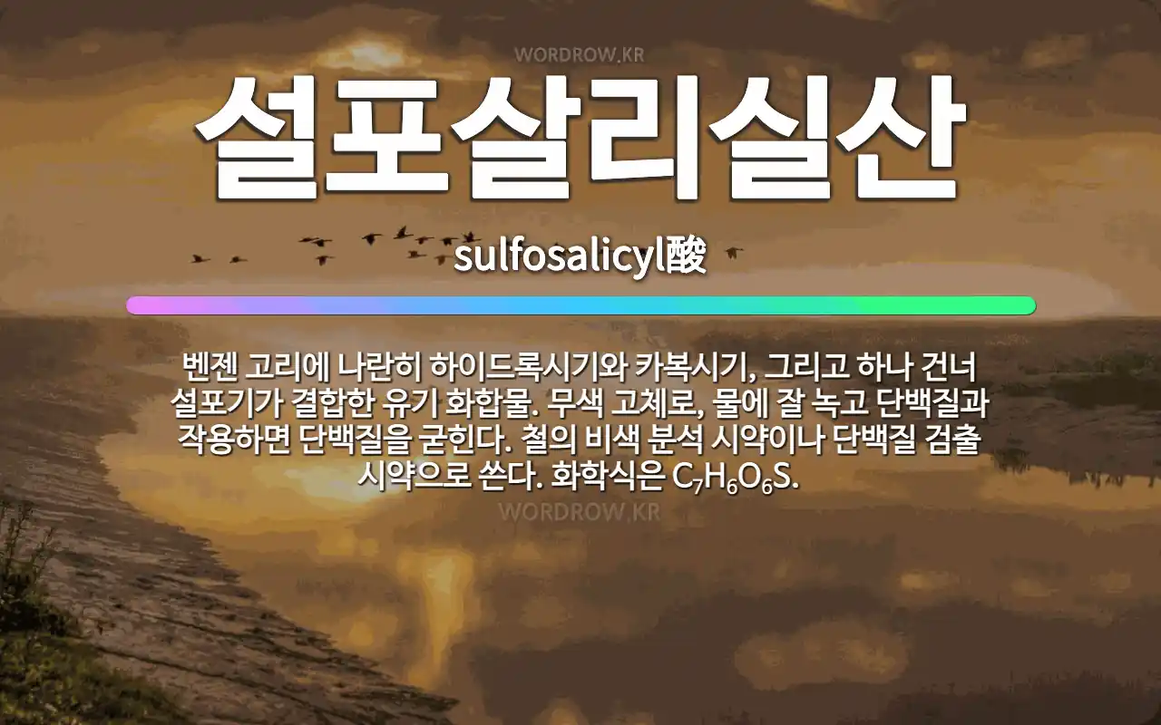 🌟설포살리실산 벤젠 고리에 나란히 하이드록시기와 카복시기 그리고 하나 건너 설포기가 결합한 유기 화합물 표준국어대사전