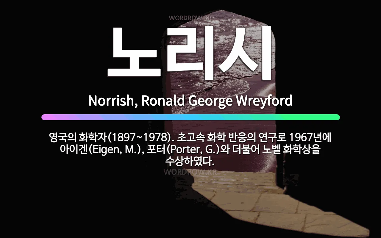 🌟노리시: 영국의 화학자(1897~1978). 초고속 화학 반응의 연구로 1967년에 아이겐(Eigen, ... - 표준국어대사전